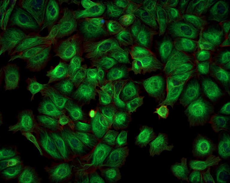 Taking a Closer Look at Excitation and Emission Spectra in Flow ...