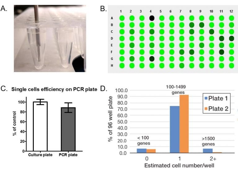 Single Cell Genomics & DNA Sequencing | NanoCellect