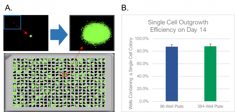 Efficient Monoclonal Cell Line Generation | NanoCellect