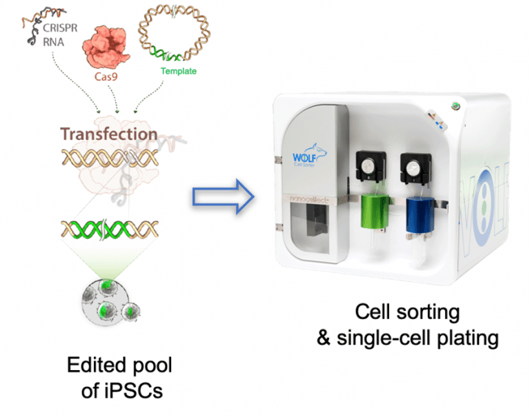 Cell Line Development & Engineering | NanoCellect