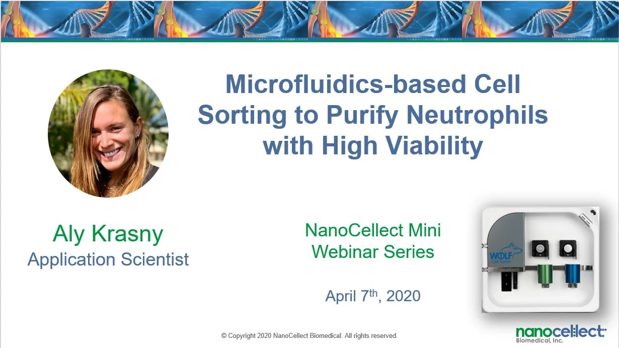 Microfluidics-based Cell Sorting to Purify Neutrophils | NanoCellect