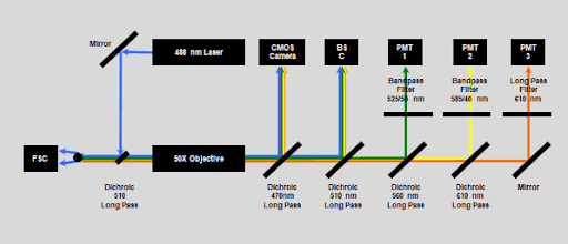 What Is Flow Cytometry Light Scatter | NanoCellect