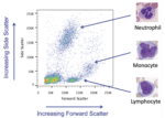 What Is Flow Cytometry Light Scatter | NanoCellect