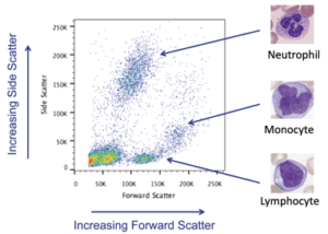 What Is Flow Cytometry Light Scatter | NanoCellect
