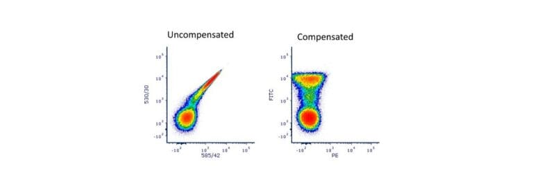 The Fluorescence Minus One Control | Nanocellect