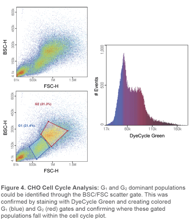 Cell Cycle Sorting using a Microfluidic Cell Sorter | NanoCellect