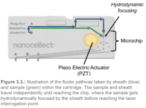 Microfluidics Cell Sorting Technology - Nanocellect