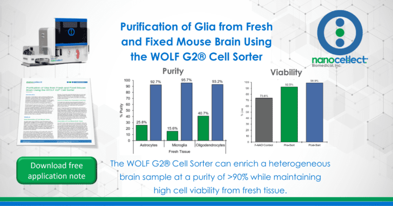 Purification of Glia from Mouse Brain using WOLF G2 Cell Sorter