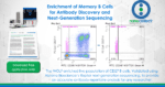 Enrichment of Memory B Cells for Antibody Discovery & NGS | NanoCellect