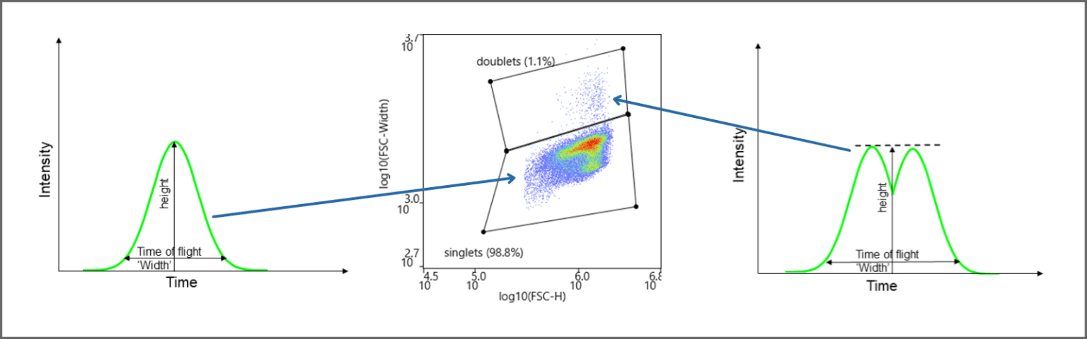 Fluorescence-Activated Cell Sorting (FACS) vs Flow Cytometry | NanoCellect