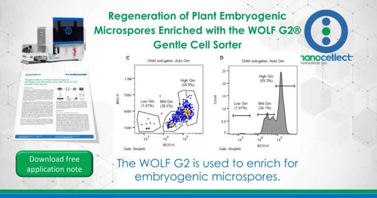 Regeneration of Plant Embryogenic Microspores | NanoCellect