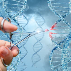 NanoCellect - WOLF G2 Benchtop Microfluidic Cell Sorter