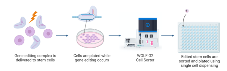 Stem Cell Sorting Made Gentle for Cell Therapies | NanoCellect