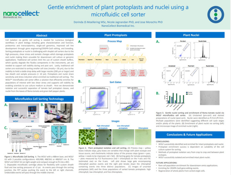 Advanced Plant Cell Sorting Technology | NanoCellect