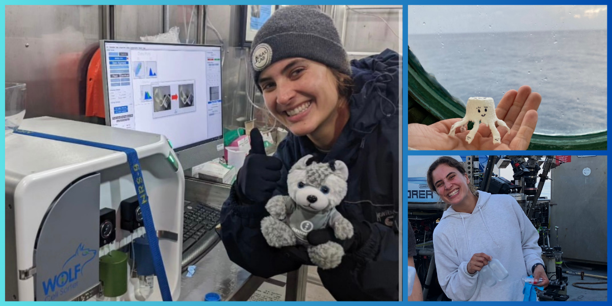 Cell Sorting in a Deep Sea Hypersaline Anoxic Basin | NanoCellect