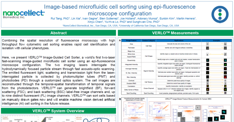 Image-Based Cell Sorting with Epi-Fluorescence Microscopy