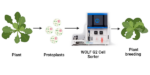 WOLF G2 Benchtop Microfluidic Cell Sorter | NanoCellect