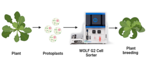 WOLF G2 Benchtop Microfluidic Cell Sorter | NanoCellect
